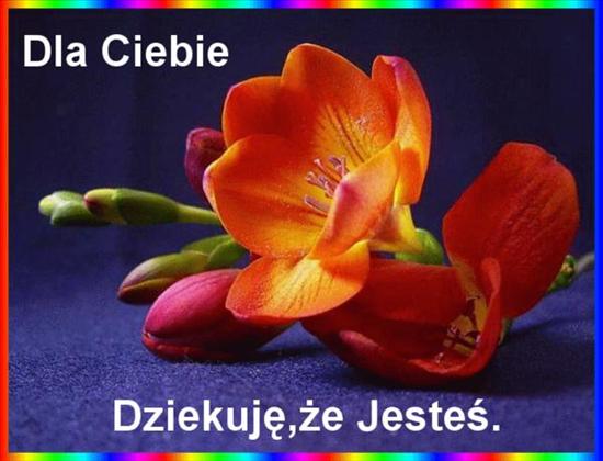 Dla ciebie kwiaty dziękuję że jesteś - Gify i obrazki na GifyAgusi.pl