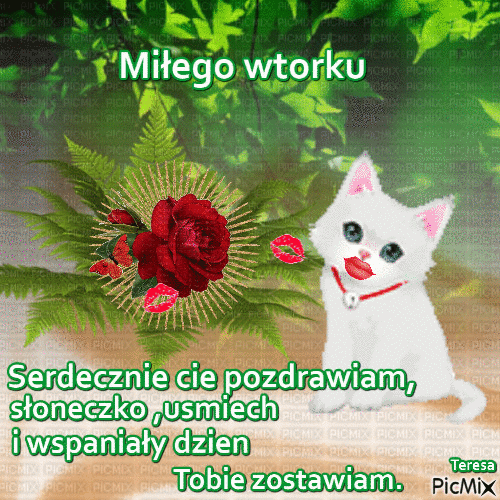 Miłego wtorku życzy kotek pozdrawia buziaki daje - Życzenia na GifyAgusi.pl
