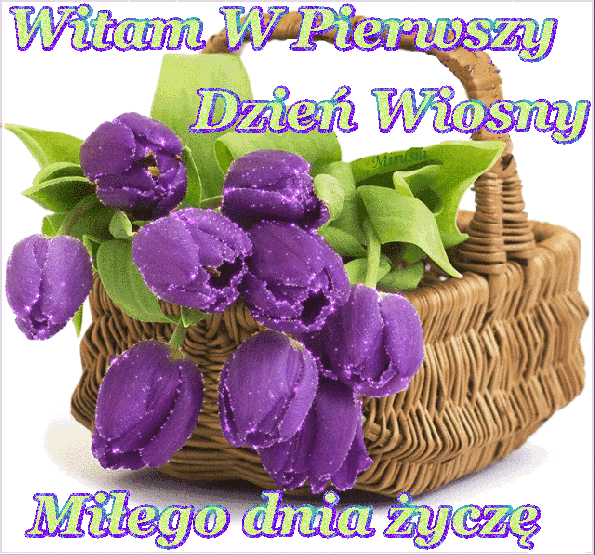 Witam w pierwszy dzień wiosny - Gify i obrazki na GifyAgusi.pl