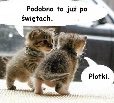 Gify Święta Święta i po Świętach - Gify i obrazki na GifyAgusi.pl