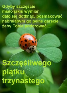 Gify Piątek 13 - Gify i obrazki na GifyAgusi.pl