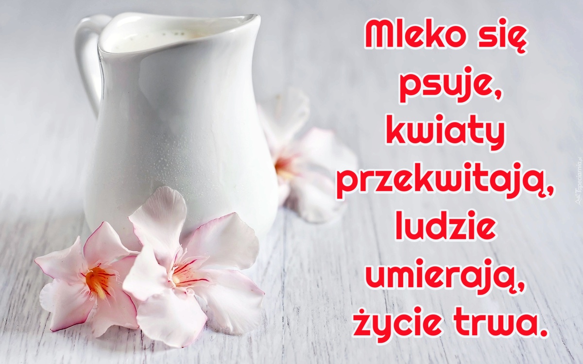 Mleko z wierszem - Gify i obrazki na GifyAgusi.pl